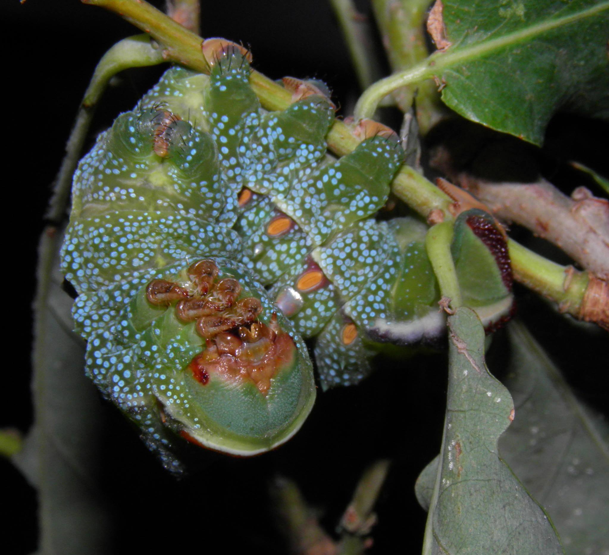 Welcome, visitor! | The aim of this website is to provide information ...