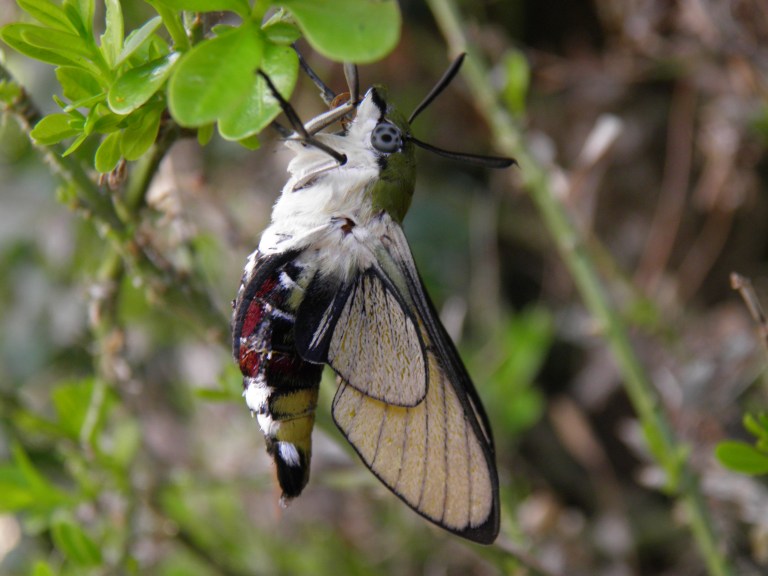 Welcome, visitor! | The aim of this website is to provide information ...