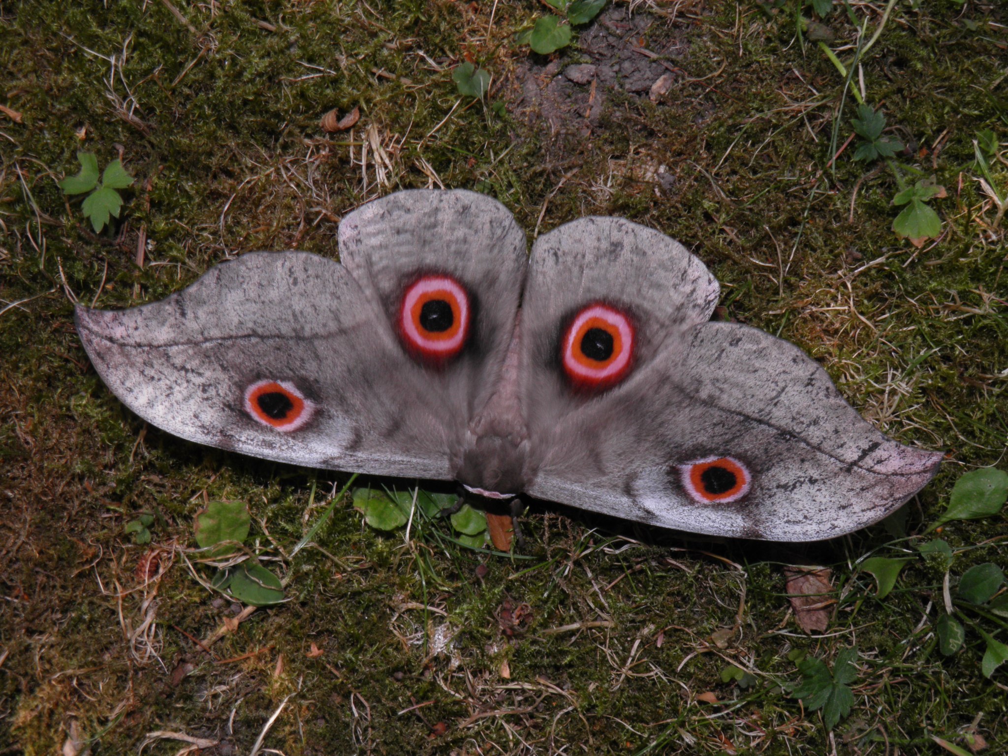 Welcome, visitor! | The aim of this website is to provide information ...