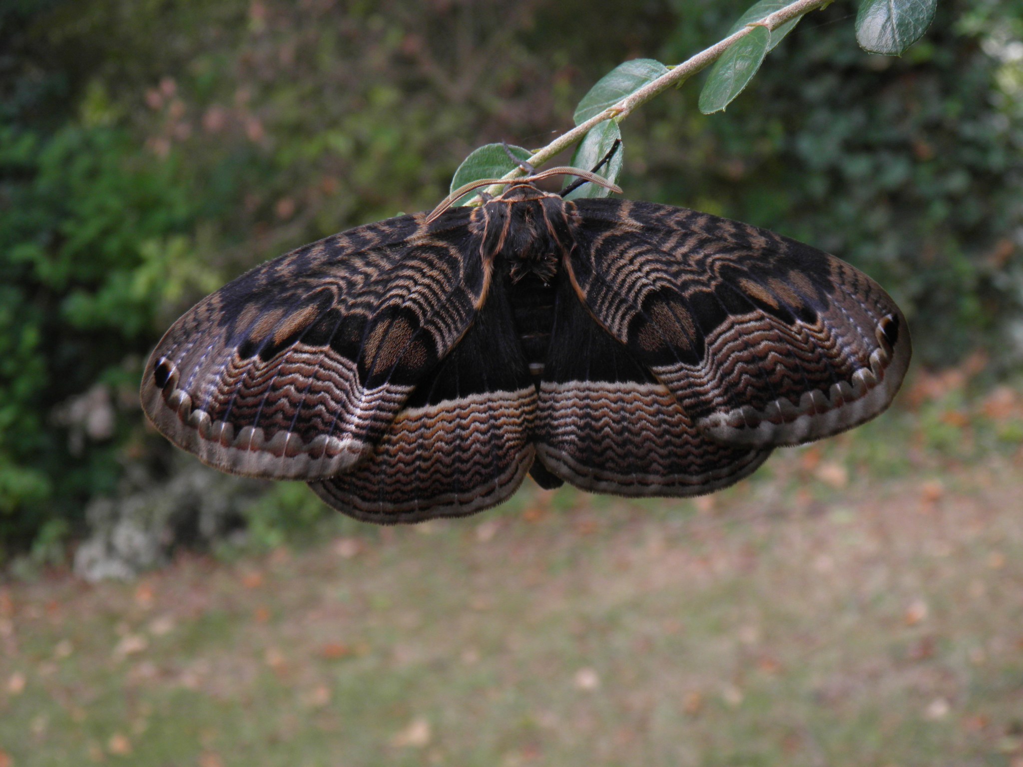 Welcome, visitor! | The aim of this website is to provide information ...