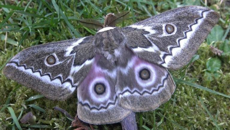 Welcome, visitor! | The aim of this website is to provide information ...